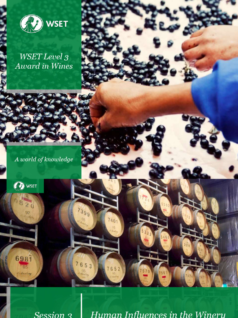 Module 3 - The Human Factors in The Winery That Influence Style, Quality and Price - WSET L3 ...