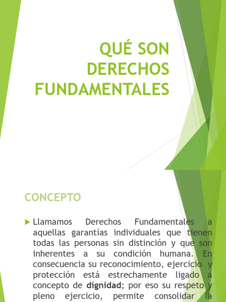 Derechos Fundamentales | PDF