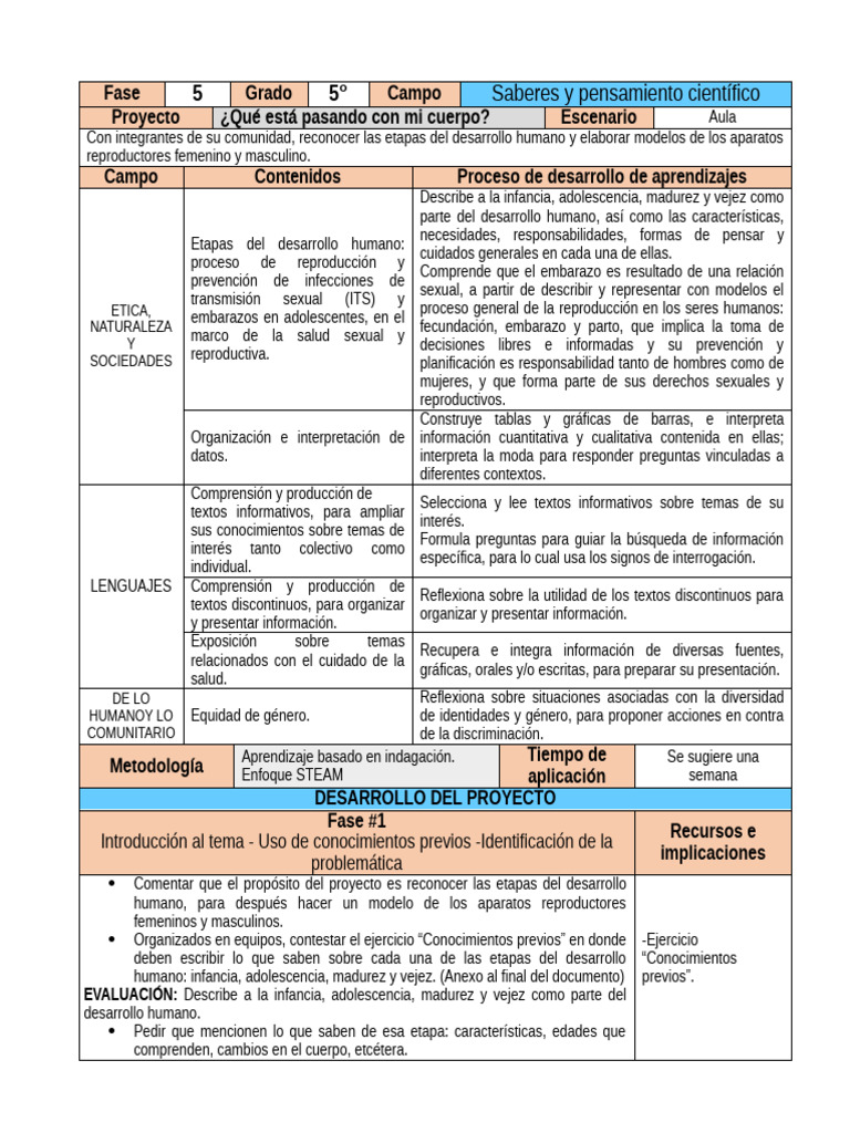 5°? 5 Qué Está Pasando Con Mi Cuerpo (2023-2024) | PDF