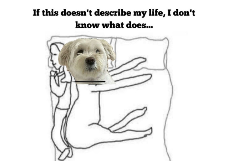 Screenshot 20241001-102335 | PDF