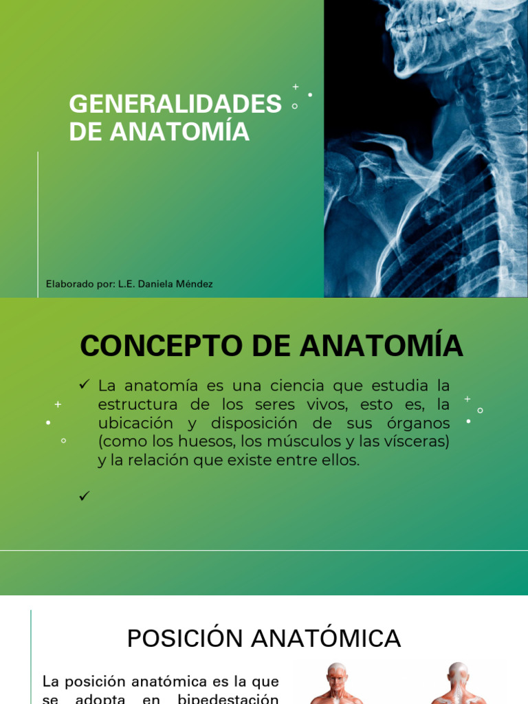 Generalidades de Anatomía | PDF | Términos anatómicos de ubicación ...