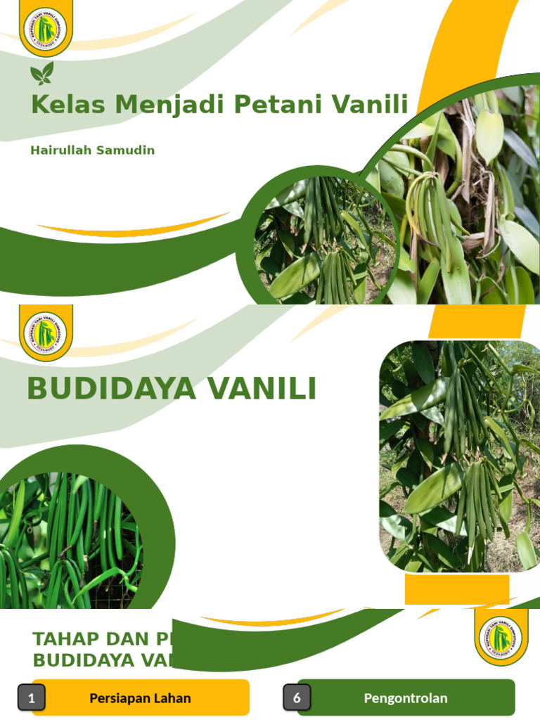 Budidaya Vanili Koperasi SImpotove | PDF