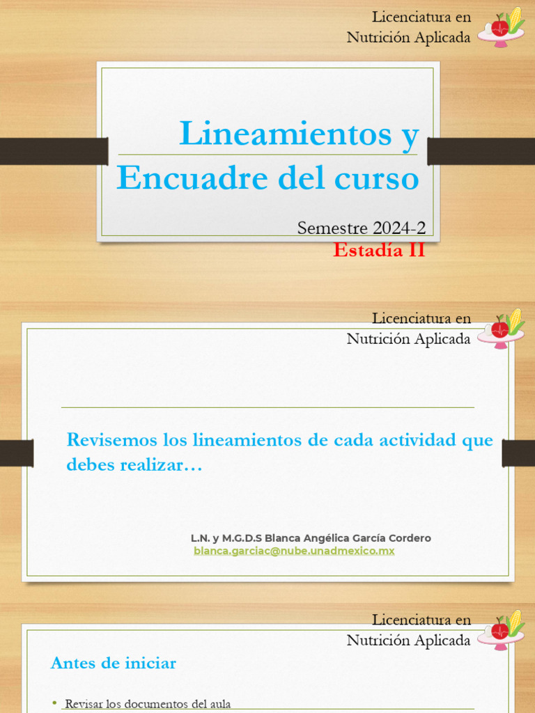 Encuadre y Lineamientos | PDF