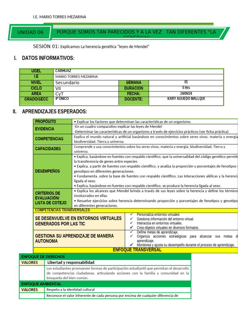 A-4º SES ACT 1-CYT-UND 5 | PDF
