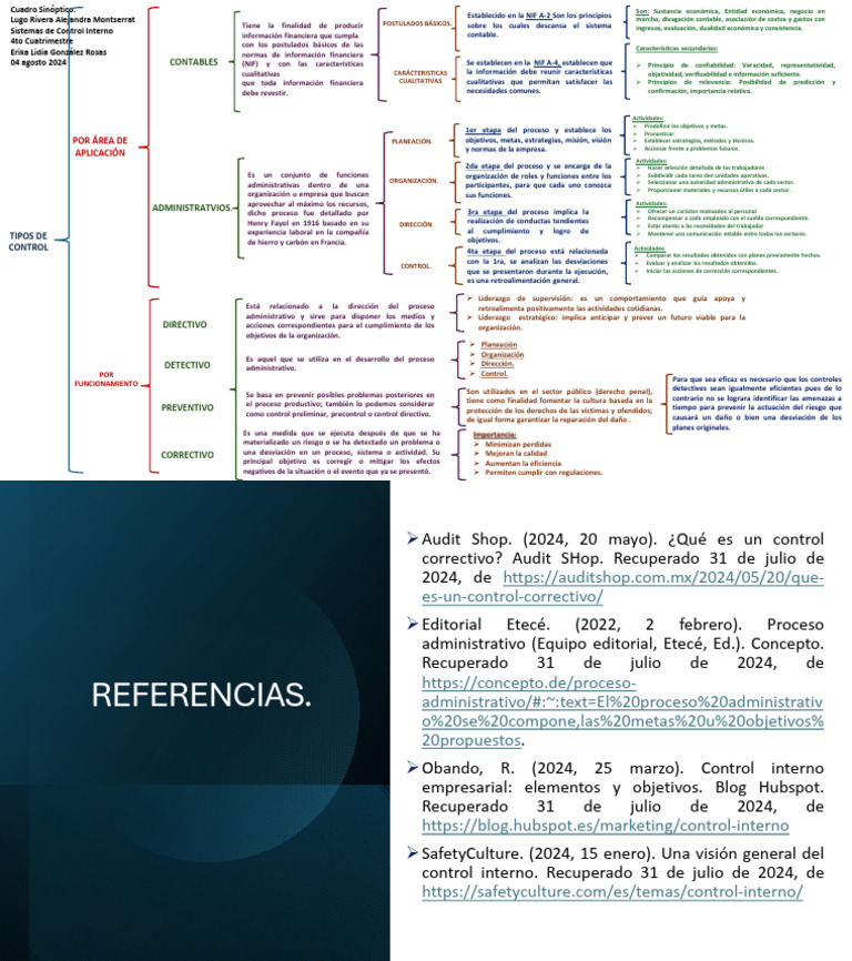 CUADRO SINÓPTICO TIPOS DE CONTROL INTERNO | PDF