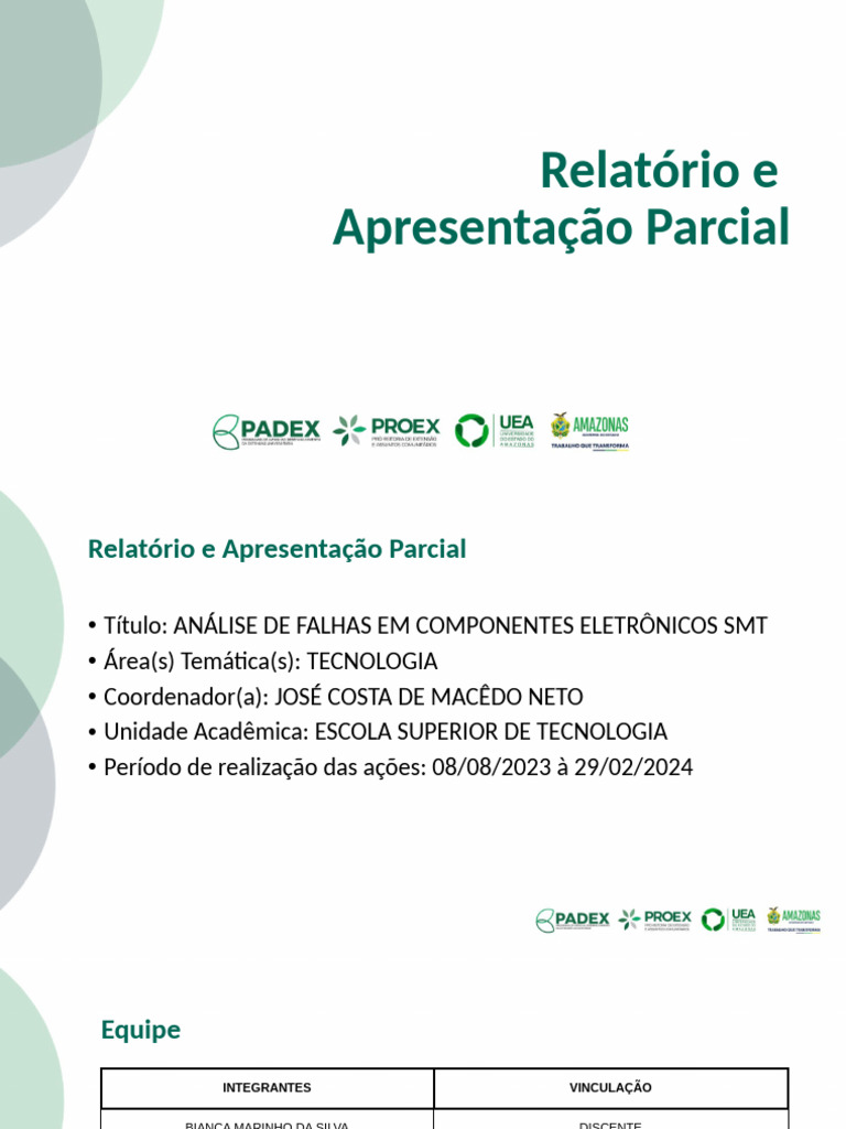 Modelo de Apresentação Relatorio Parcial Padex (1) | PDF