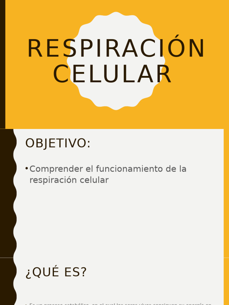 Respiracion Celular | PDF