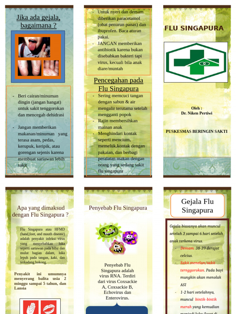 Leaflet-flu-singapura | PDF