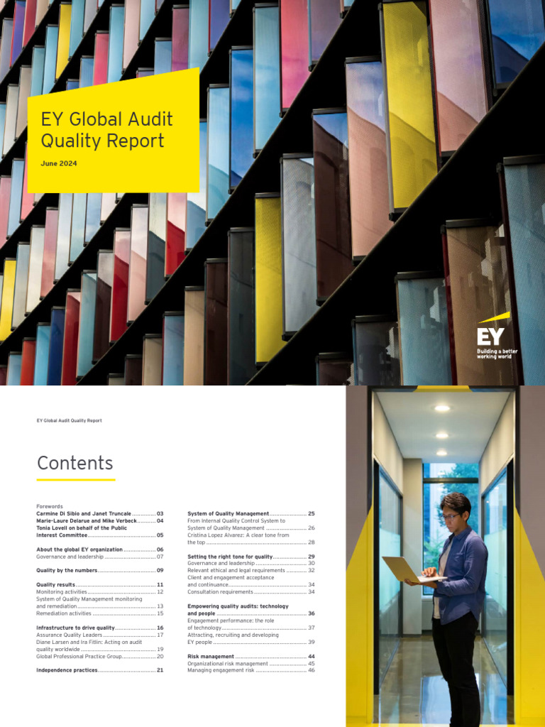 Ey Global Audit Quality Report 06 2024 | PDF | Audit | Regulatory ...
