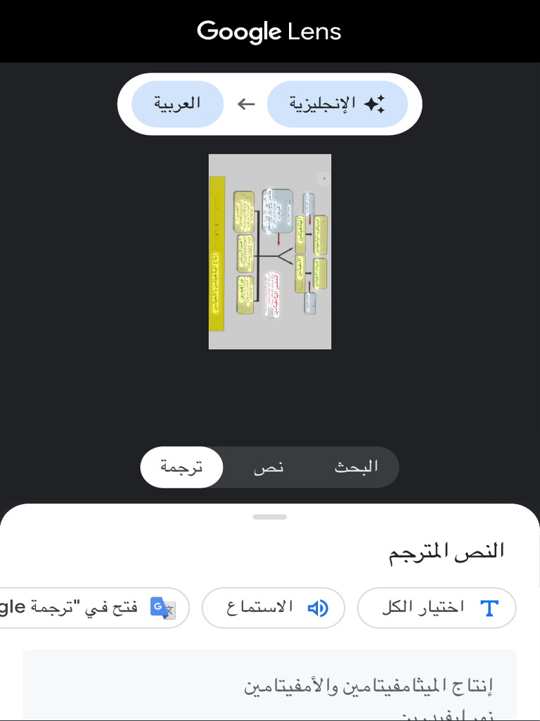 Google Lens | PDF