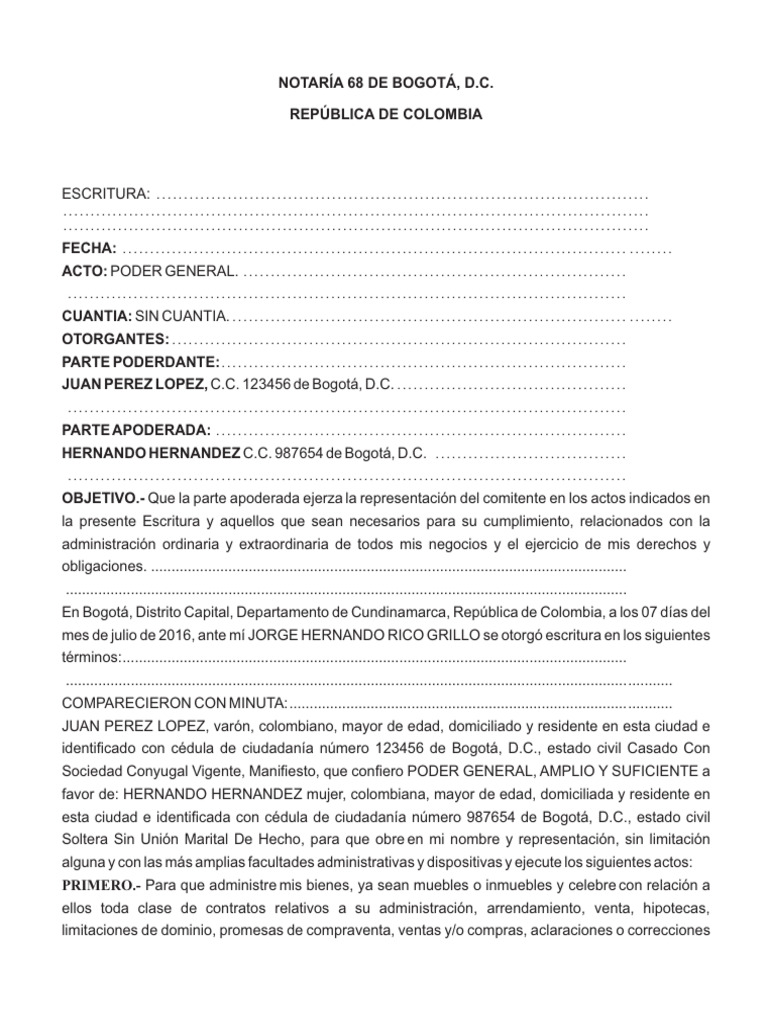 Modelo Poder General Completo Tipo 1 | PDF