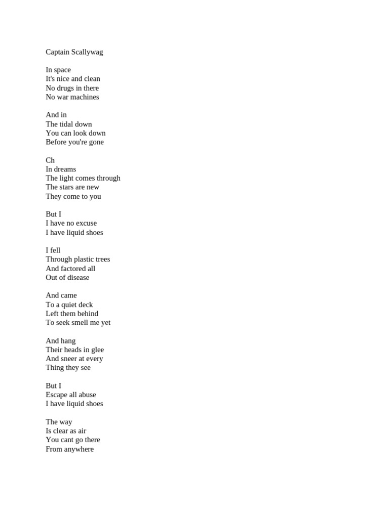 Captain Scallywag | PDF