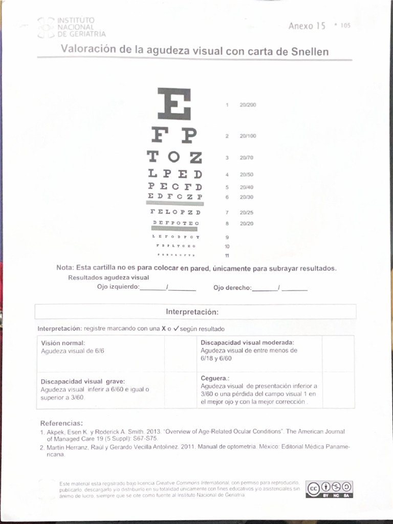 Valoración de La Agudeza Visual Con Carta de Snellen | PDF