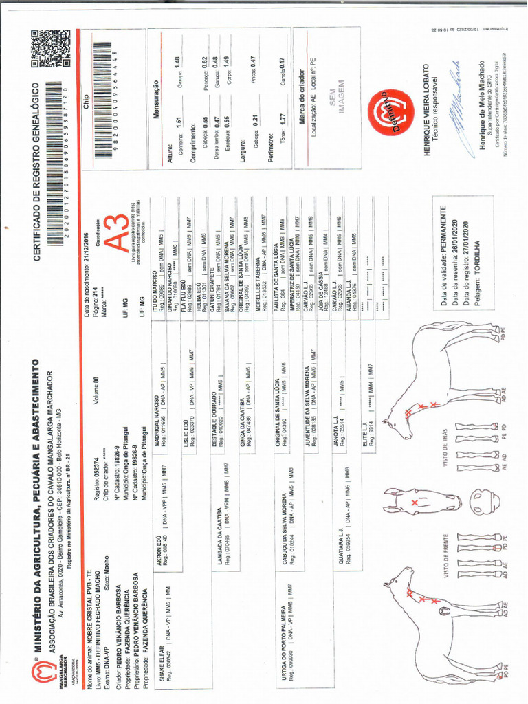 Nobre Cristal PVB | PDF