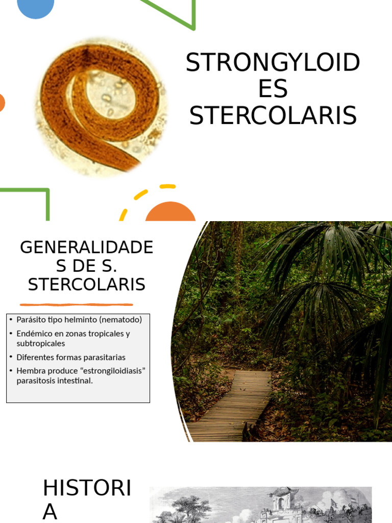 Diapositivas de Estrongiloides | PDF | Sistema inmune | Inflamación