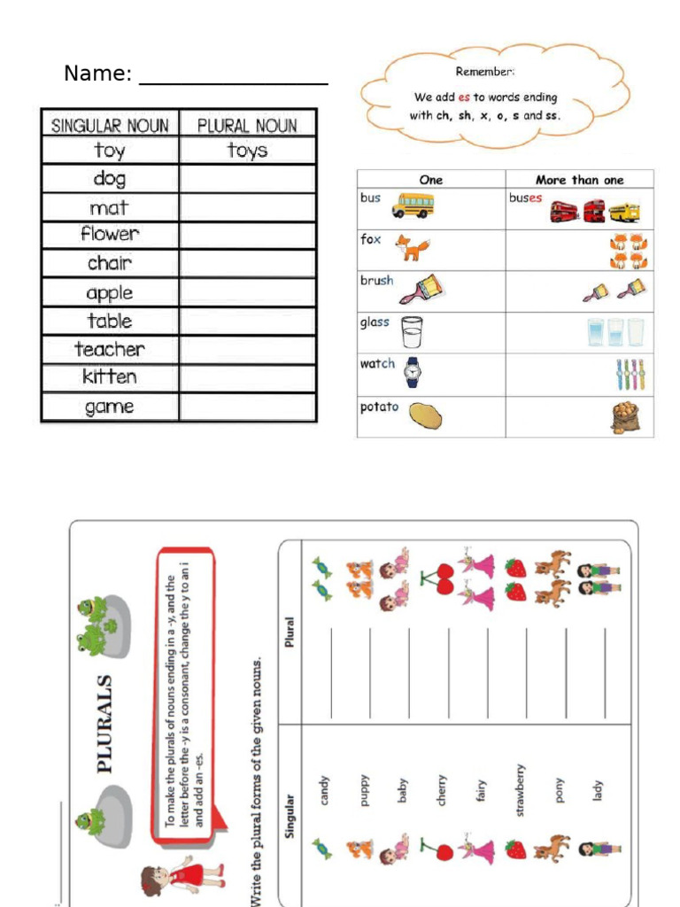 Singular and Plural Worksheet | PDF