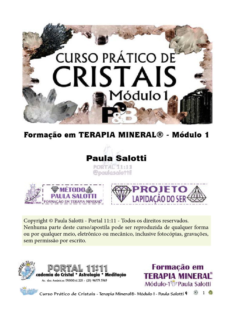 Terapia Mineral Módulo1 Aula1 | PDF