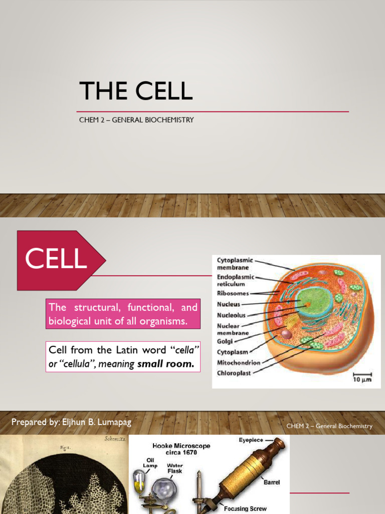 The Cell | PDF