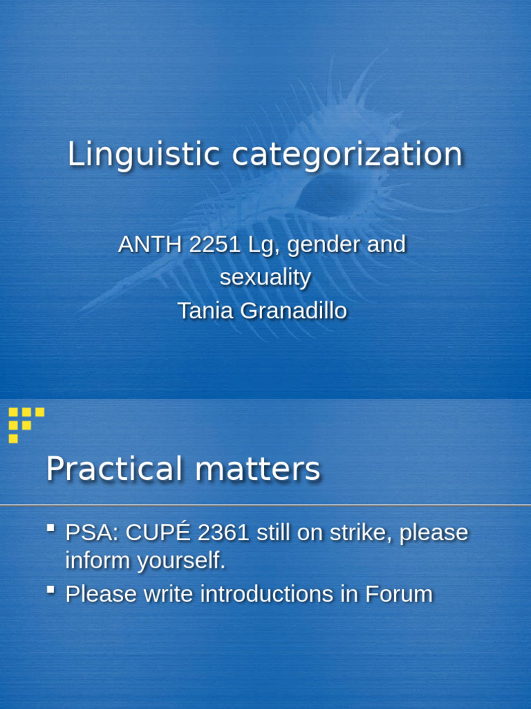 Lecture 3 Long Categorization 2024 | PDF