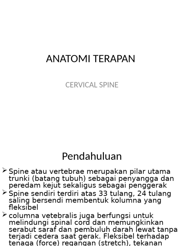 Anatomi Terapan Vertebrae | PDF