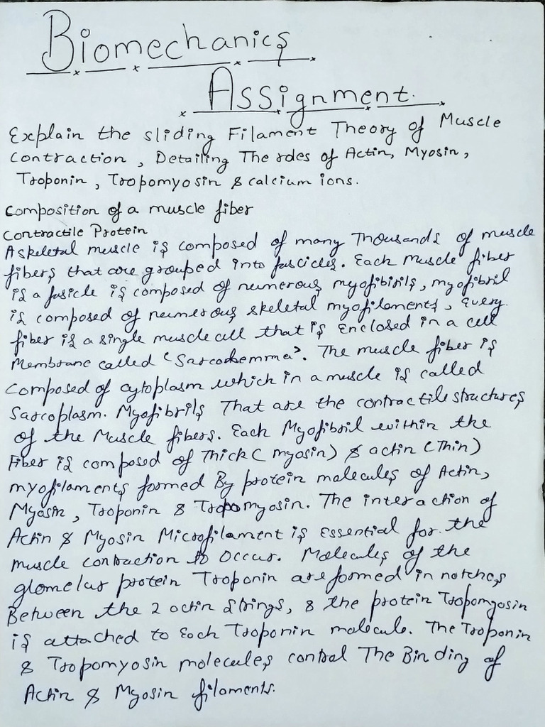 Biomechanics Assignment Section 3B | PDF