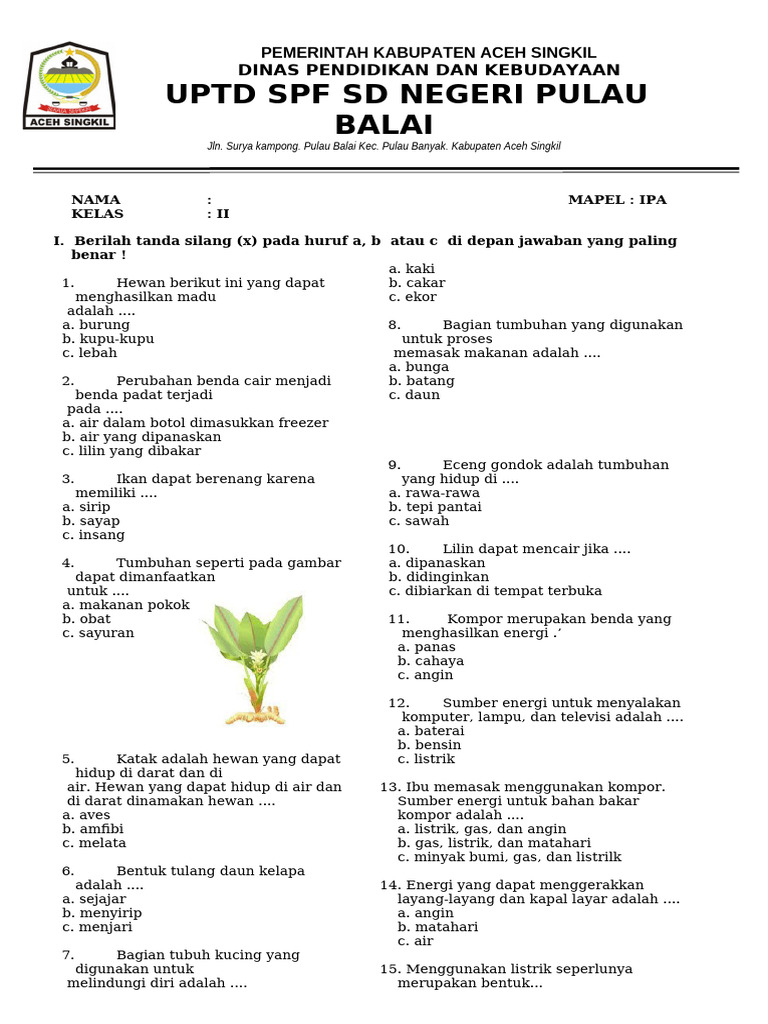 Soal UAS 2 IPA | PDF