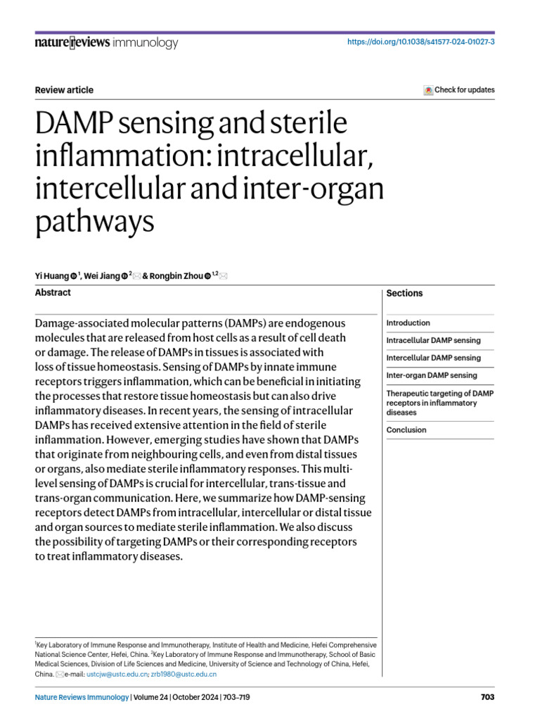 Damps 2024 | PDF