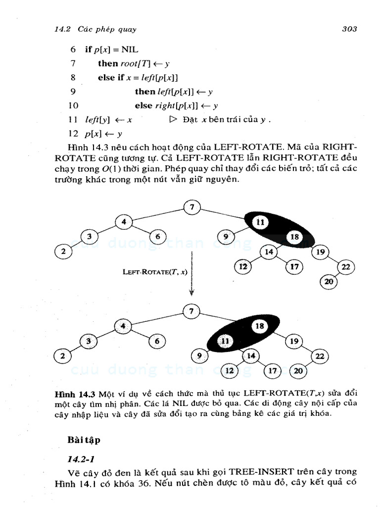 Introduction To Algorithm Tieng Viet 301 600 | PDF