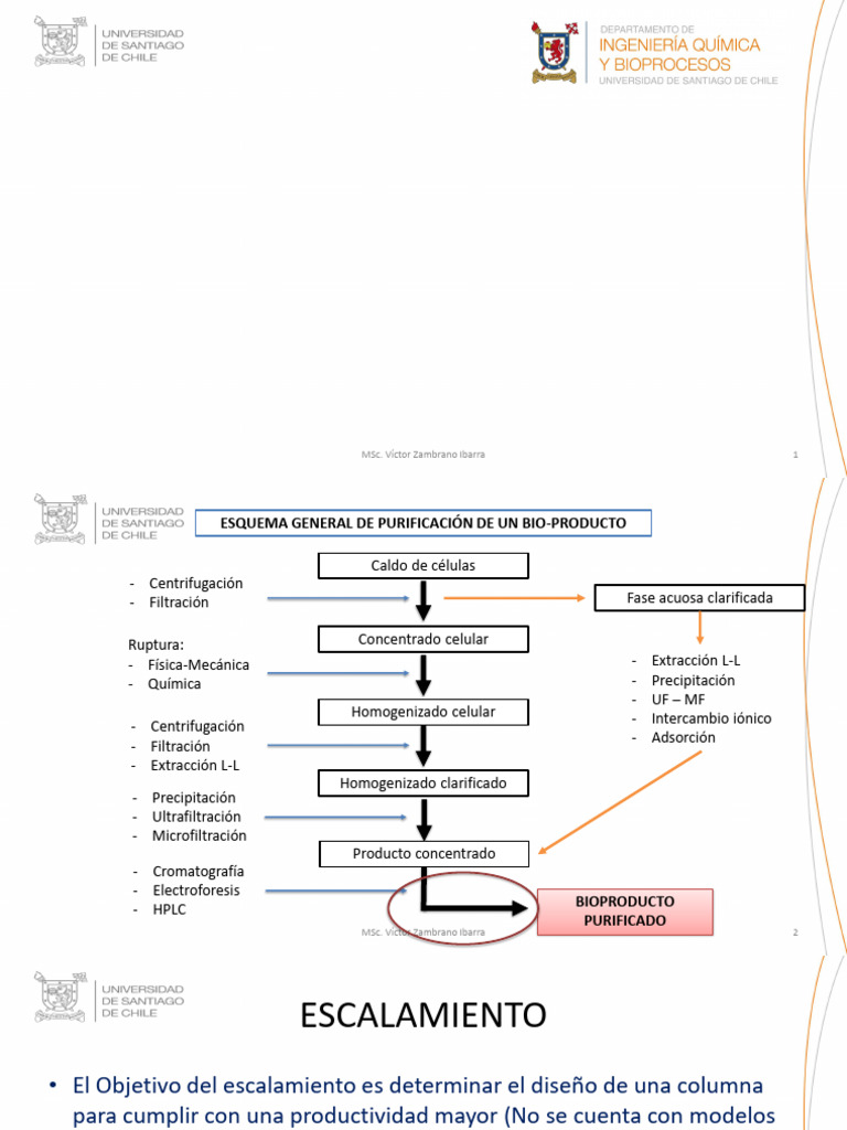 Cromatografía: Escalamiento y Optimizacion | PDF | Cromatografía | Ingeniería de Procesos Químicos