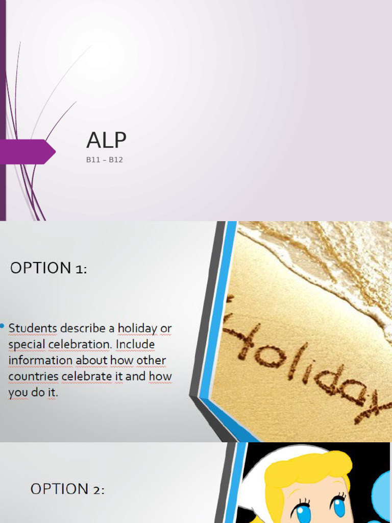 ALP Aceler B12-1 | PDF