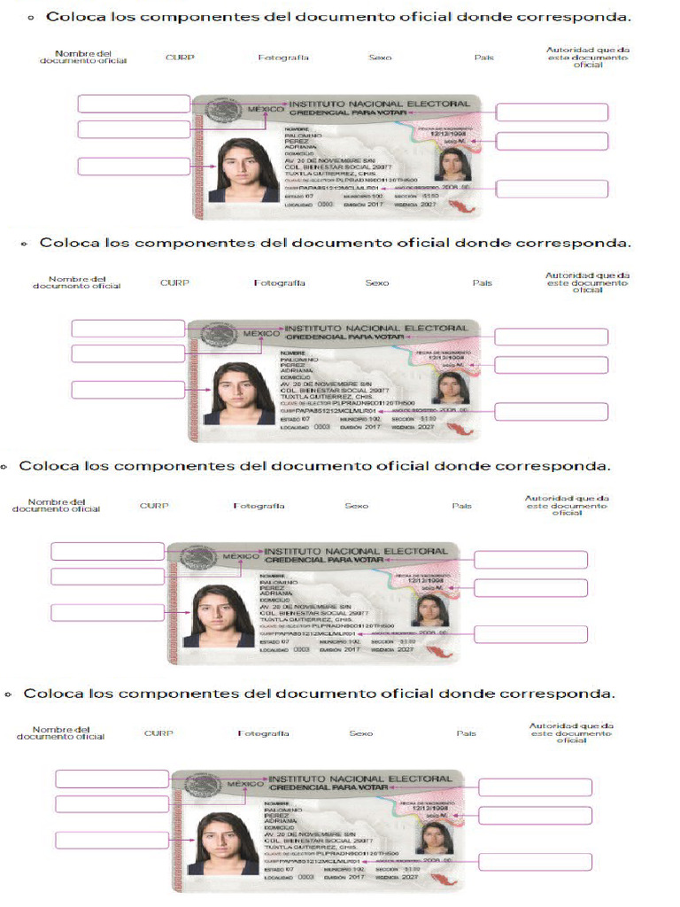 IMPRIMIR GUIA DE EXAMEN | PDF