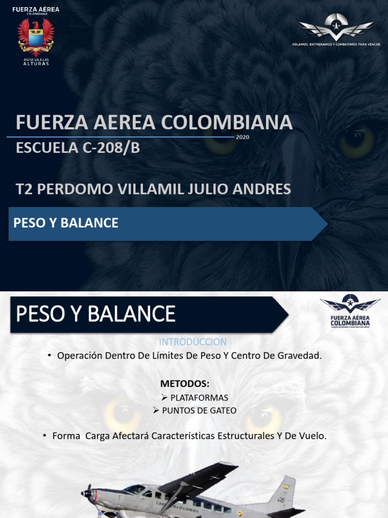 Peso y Balance | PDF