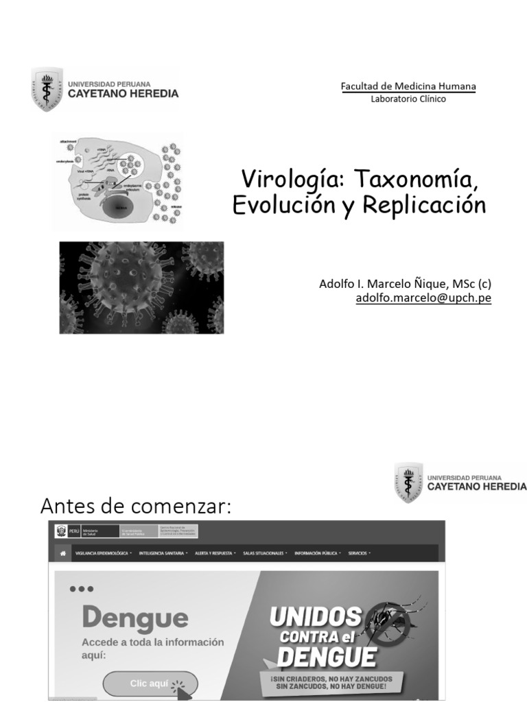 Clase 02 Intro Virologia - Taxonomia Evolucion y Replicac | PDF | Virus ...
