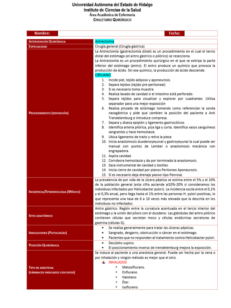 Guía de Antrectomía: Procedimiento Quirúrgico | PDF | Estómago | Cirugía