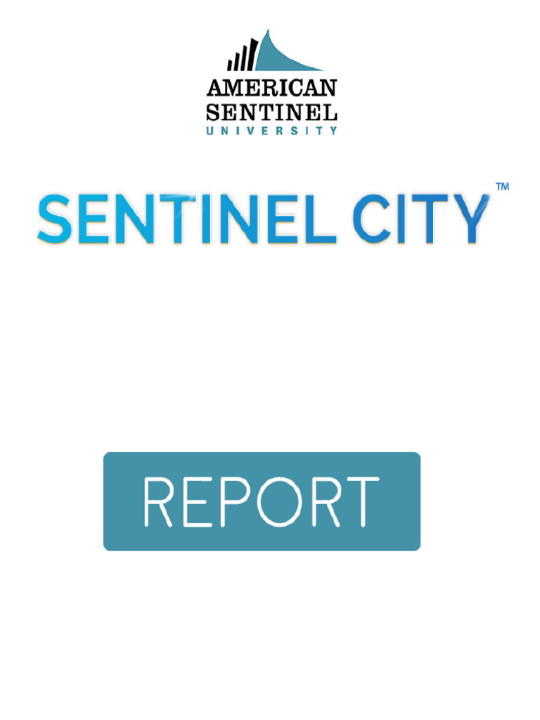 Sentinel - Report 2 | PDF