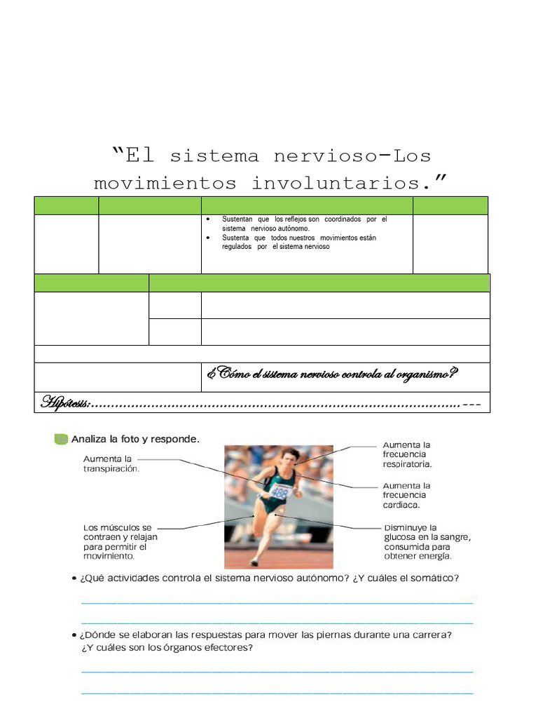 Ficha de Trabajo s 27 | PDF