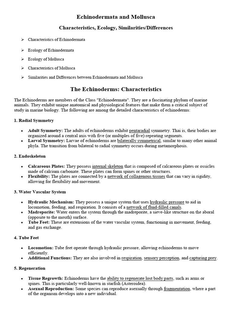 Echinodermata and Mollusca: Key Insights | PDF | Mollusca | Bivalvia