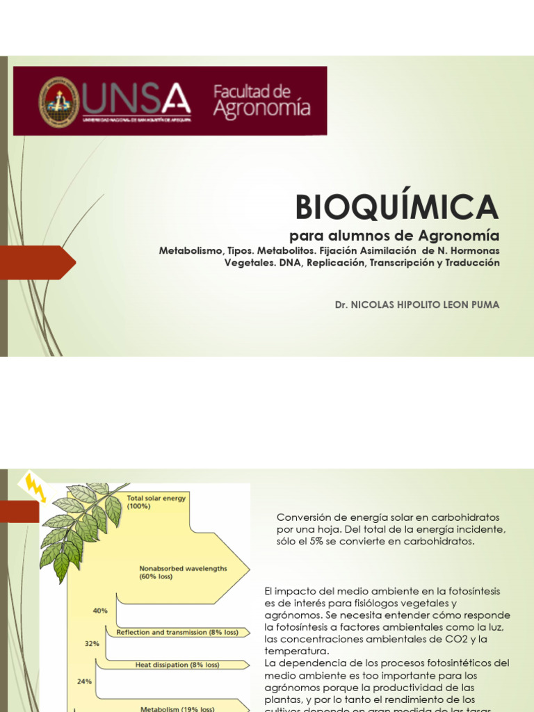 Bioquim III Parcial Agron 2024-1 UNSA | PDF