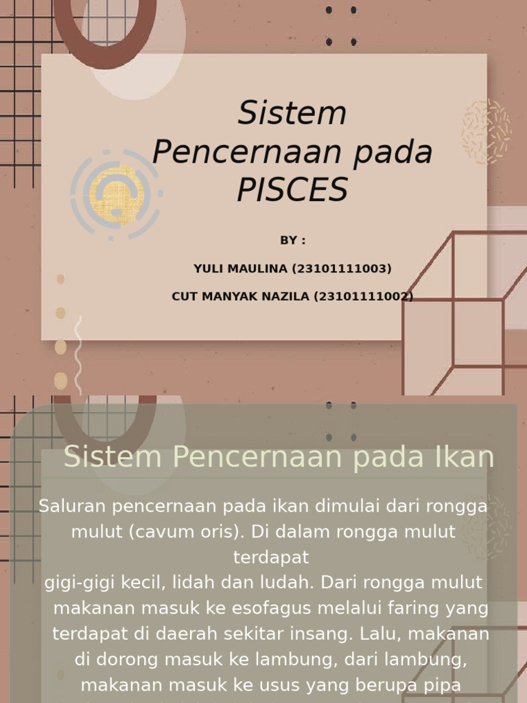 SISTEM PENCERNAAN PADA PISCES | PDF