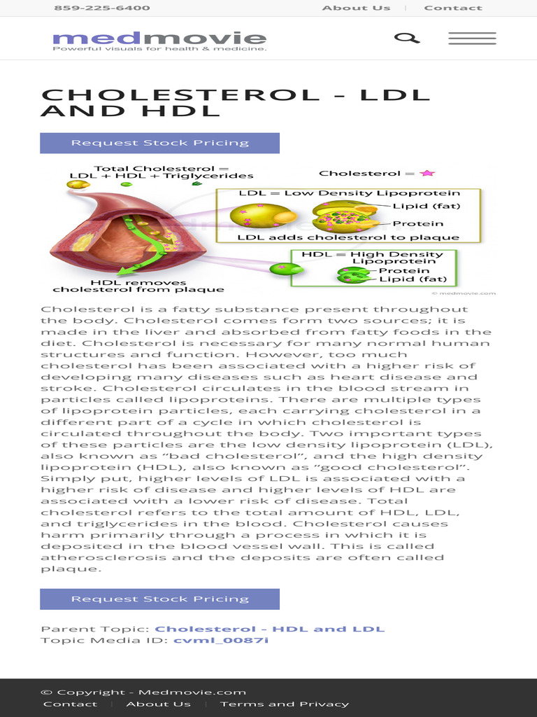 Cholesterol - LDL and HDL | PDF