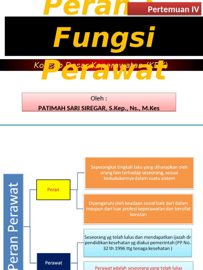 Peran Dan Fungsi Perawat | PDF