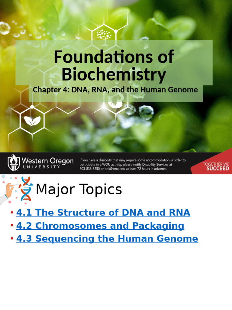 Chapter 4 Slides | PDF