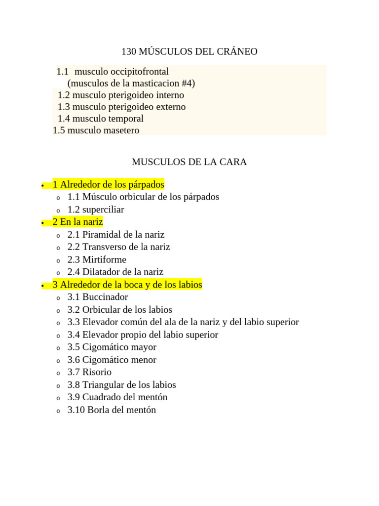Musculos | PDF
