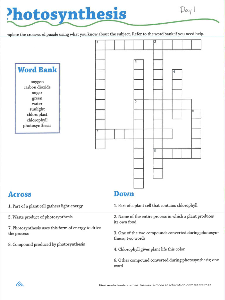 5th Grade Science Packet | PDF