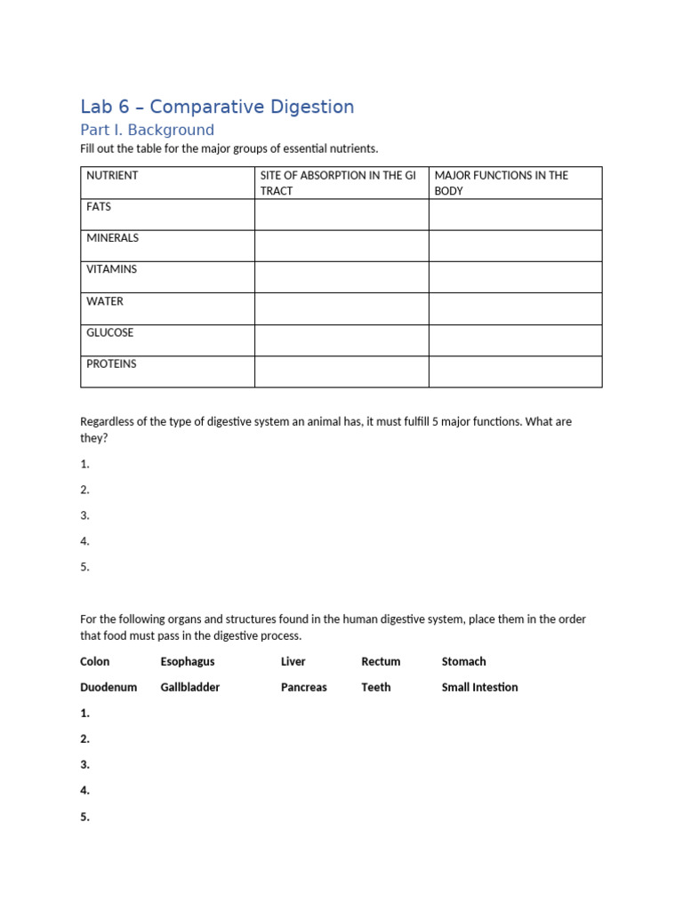 Lab 6 | PDF