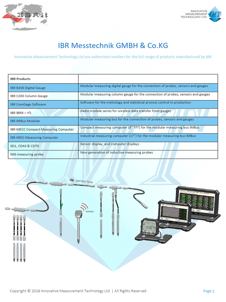 IBR Overview 1 | PDF