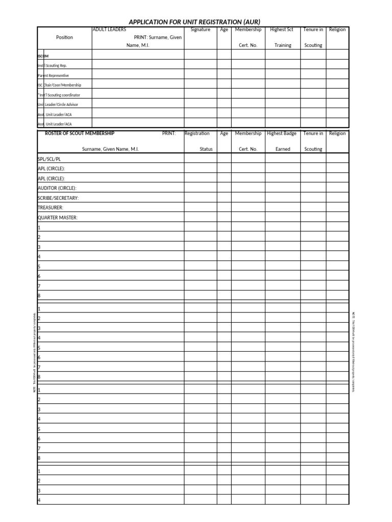 BSP Form | PDF