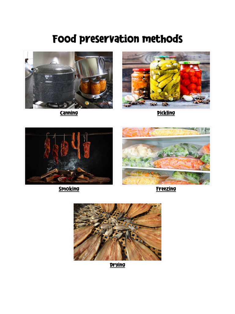 Food Preservation Methods | PDF