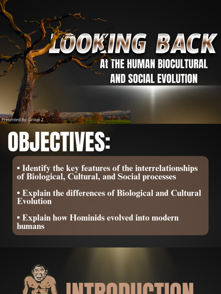 Aspects of Culture | PDF