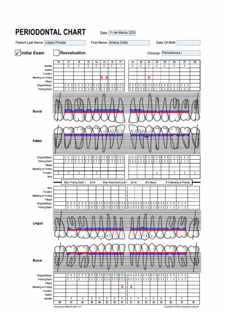 Periodontal Chart Online | PDF